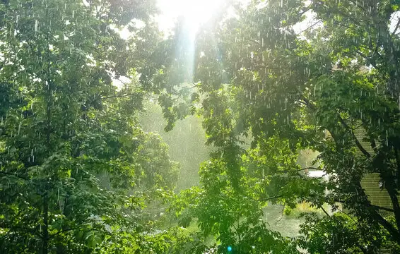 Spiritual Meaning of Rain While the Sun is Out: Sunshower